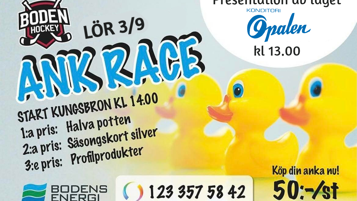 Boden Hockey – Officiella sidan